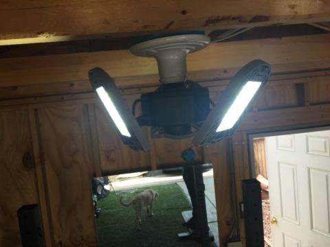 Home Gym Ideas | Building Your Home Gym on a Budget